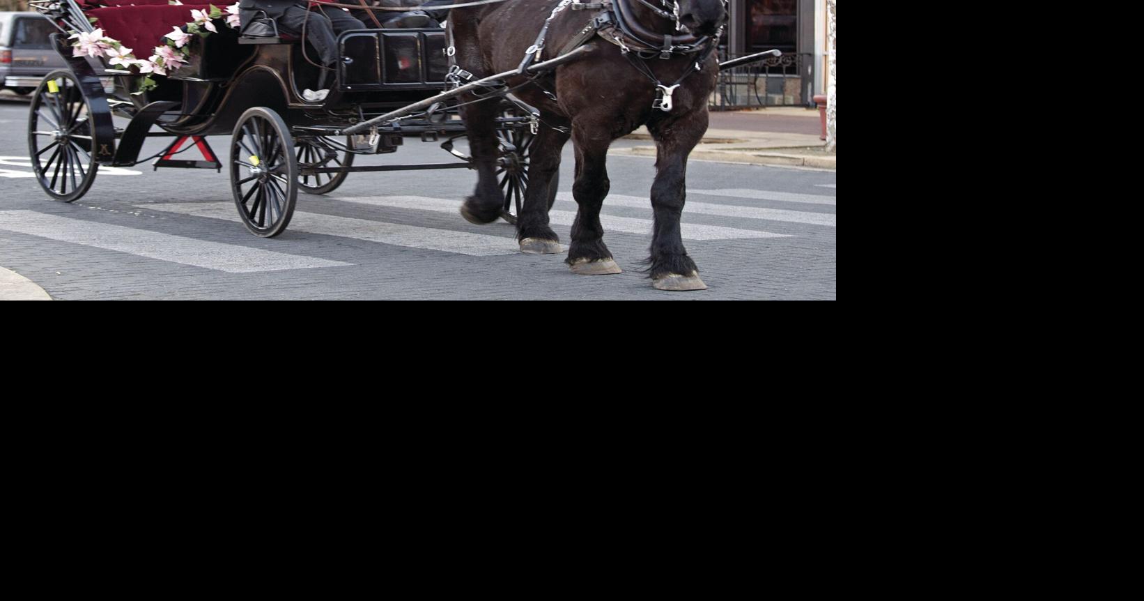 Lodi leaders look to light and liven up this year's holiday season ...