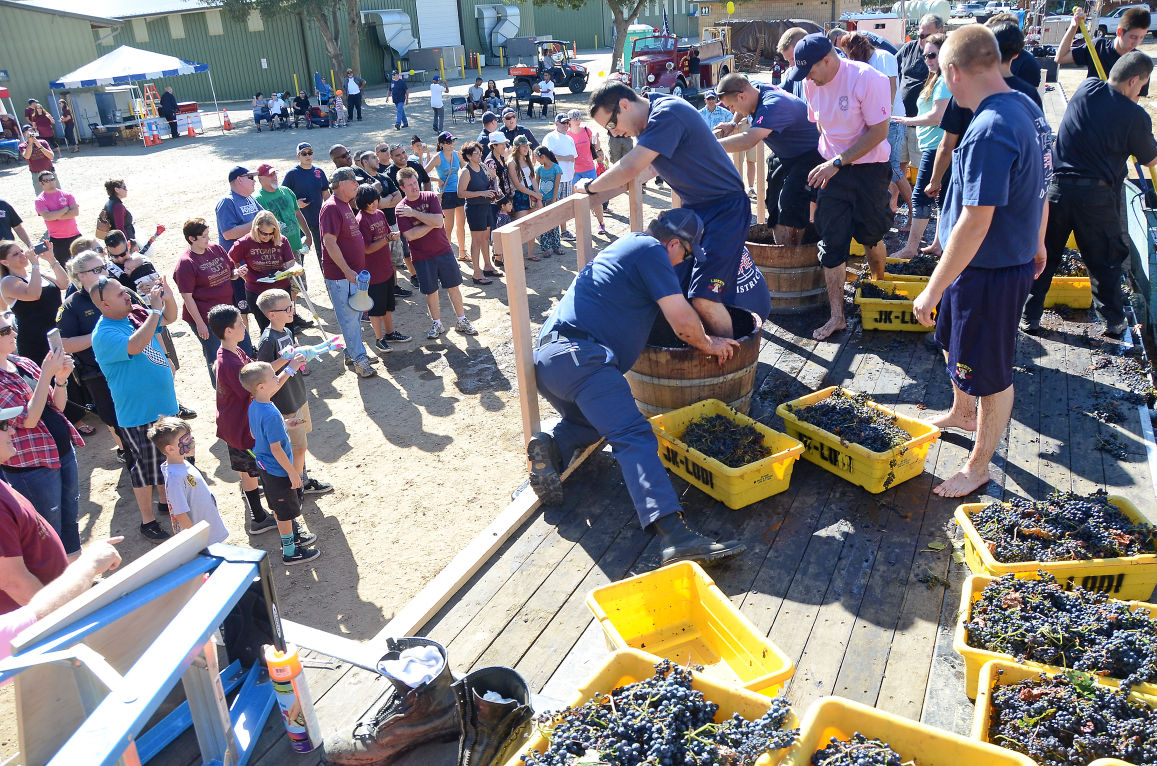 Stomp Out Cancer | News | lodinews.com