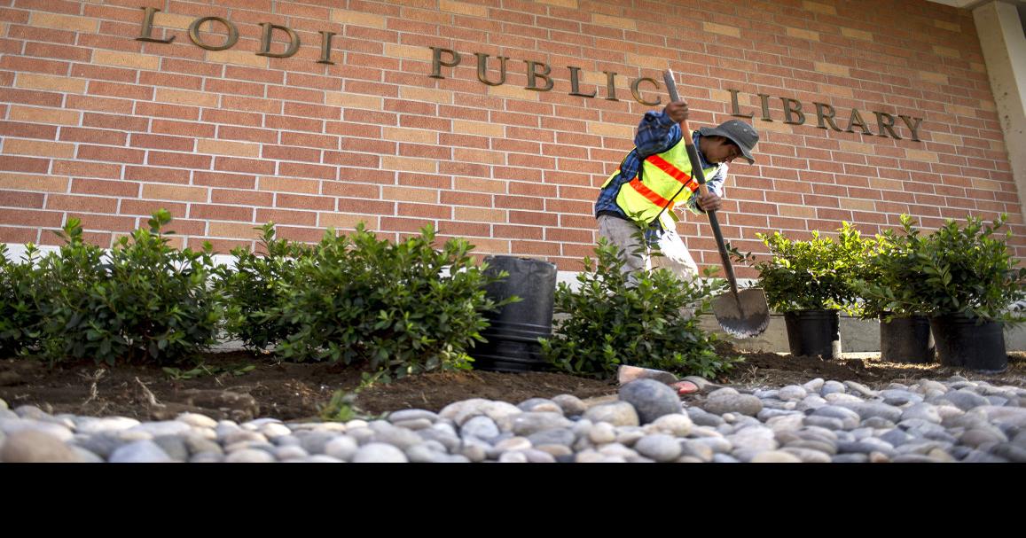 Lodi Public Library gives landscaping a makeover | News | lodinews.com