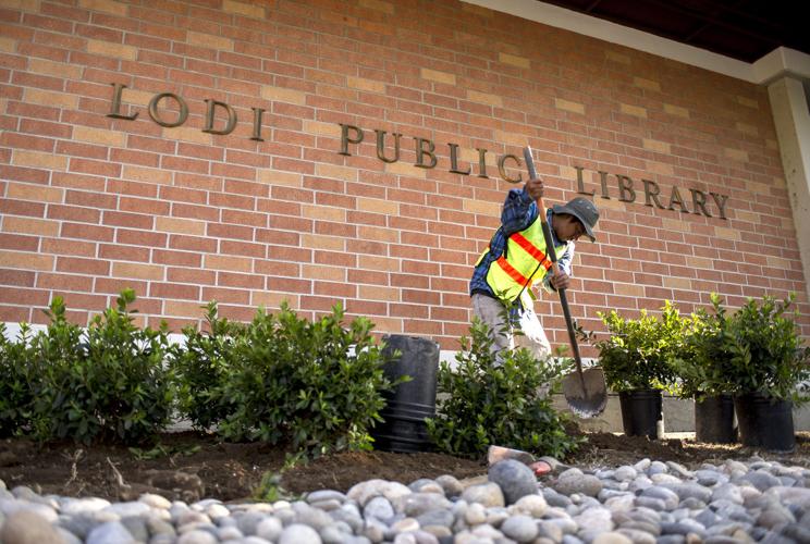 Lodi Public Library gives landscaping a makeover | News | lodinews.com