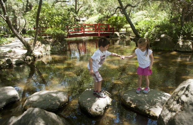 Micke Grove Regional Park: A special place of discovery | Life ...