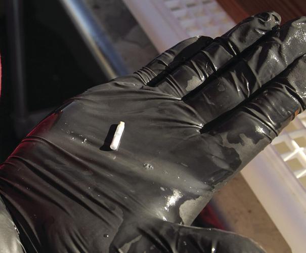 How tiny tags help Mokelumne fishes: Scientists use acoustic tech to ...