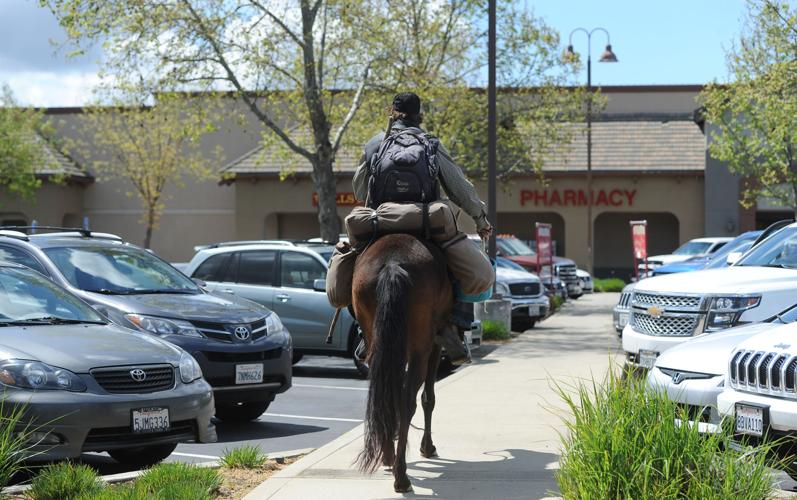 The homeless horseman: Frank Turpen and Tommy Girl are turning heads in ...