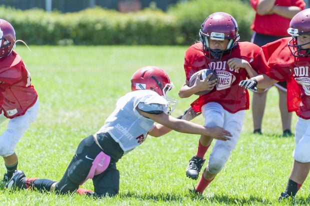 Lodi Junior Flames host youth football jamboree | Sports | lodinews.com