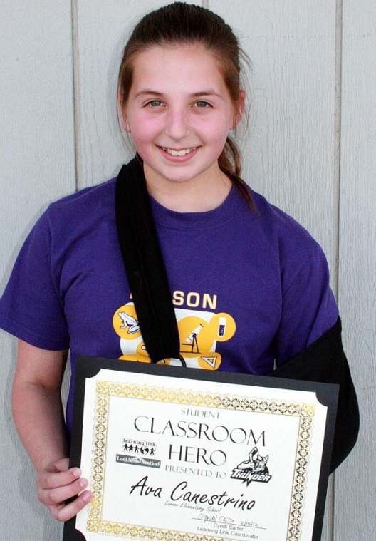 Larson Elementary School Classroom Heroes | Learning Link | lodinews.com