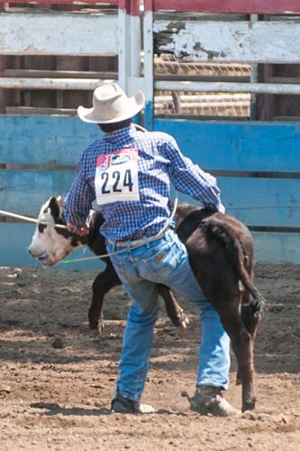 Young cowboys, cowgirls work hard at Clements Junior Stampede | News ...