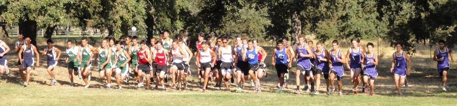 Tokay Tigers, Lodi Flames cruise in cross country league openers ...