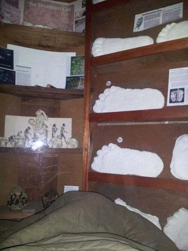Curator Michael Rugg shares what visitors can do at the Bigfoot ...