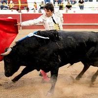 Bullfights, honoring Fatima at Thornton festival | News | lodinews.com