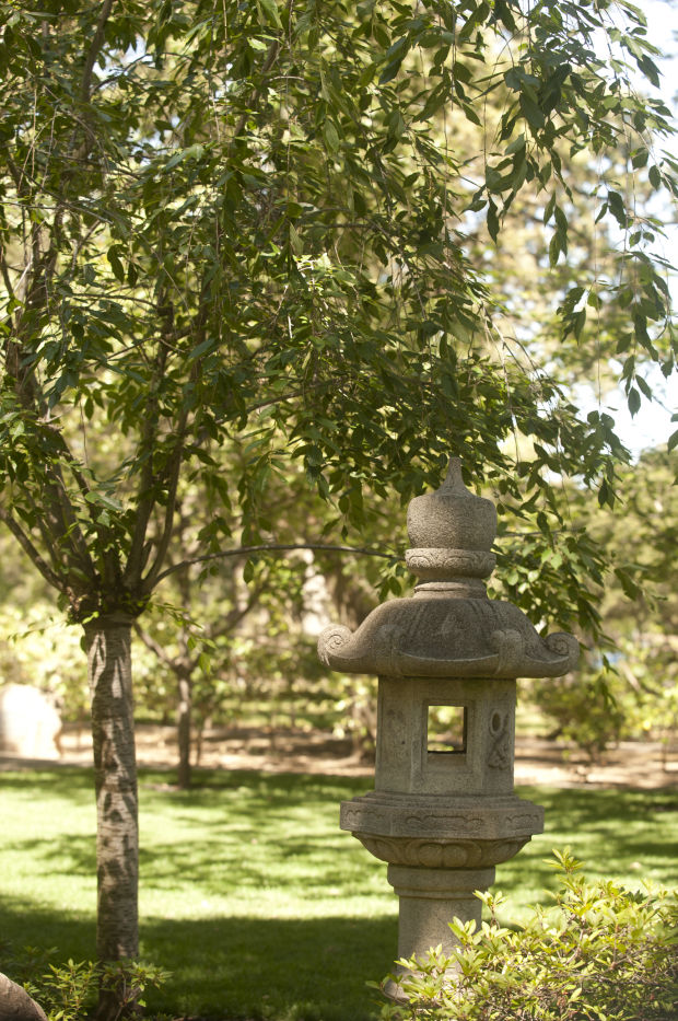 Micke Grove Regional Park: A special place of discovery | Life ...