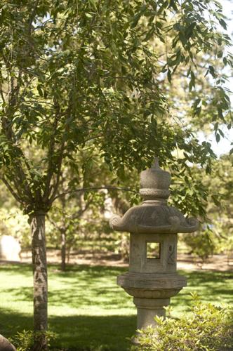 Micke Grove Regional Park: A special place of discovery | Life ...