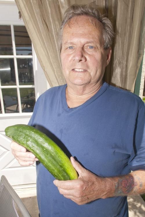 ‘Siamese twin’ cucumber | News | lodinews.com
