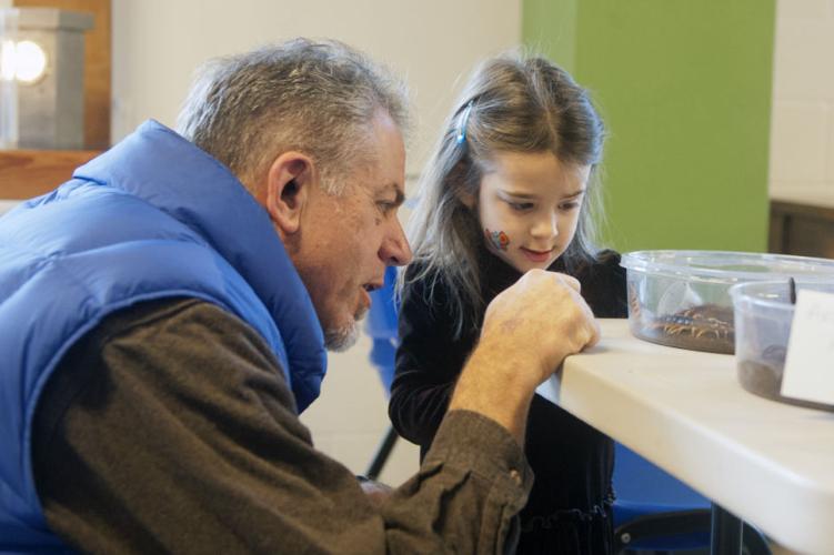 Furry spiders, hissing beetles take over the World of Wonders Science ...