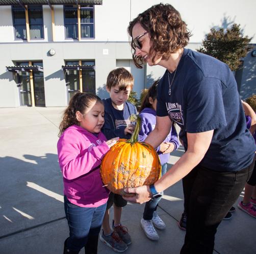 Kids Surprised With Free Pumpkins at School | News | lodinews.com
