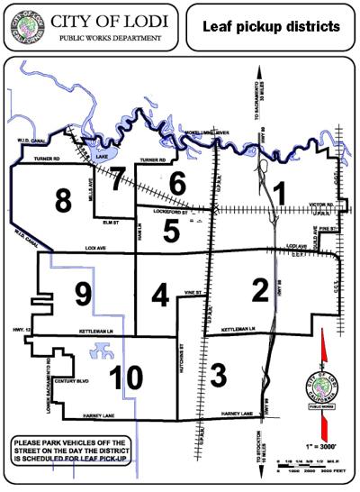 City of Lodi continues leaf collection | News | lodinews.com