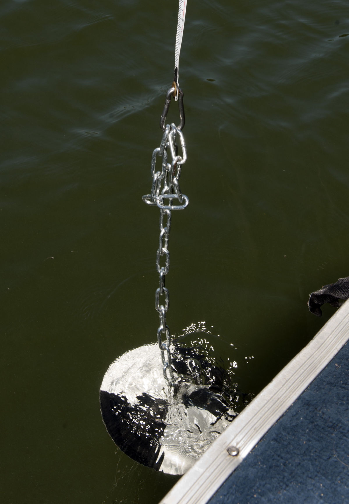 Secchi disc water testing at Lodi Lake | News | lodinews.com