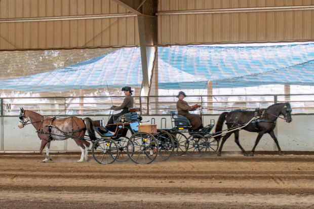 Skilled drivers show talents at Golden State Combined Driving event ...