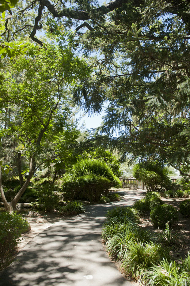 Micke Grove Regional Park: A special place of discovery | Life ...