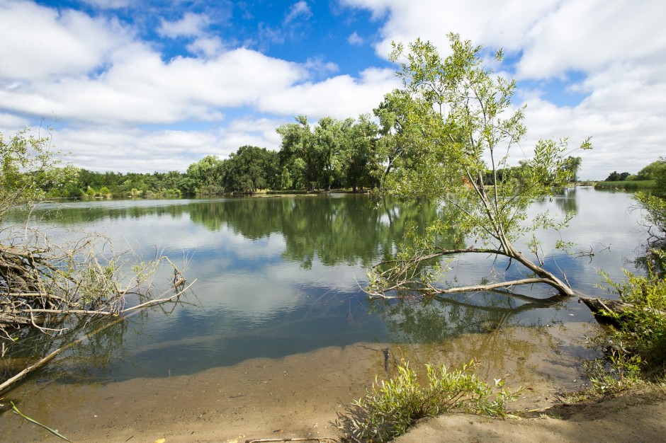 Lodi Lake Nature Area still closed; to reopen next week | News ...