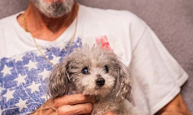 Cost Management for a Healthy, Happy Furry Friend: 5 Ways to Save Money ...