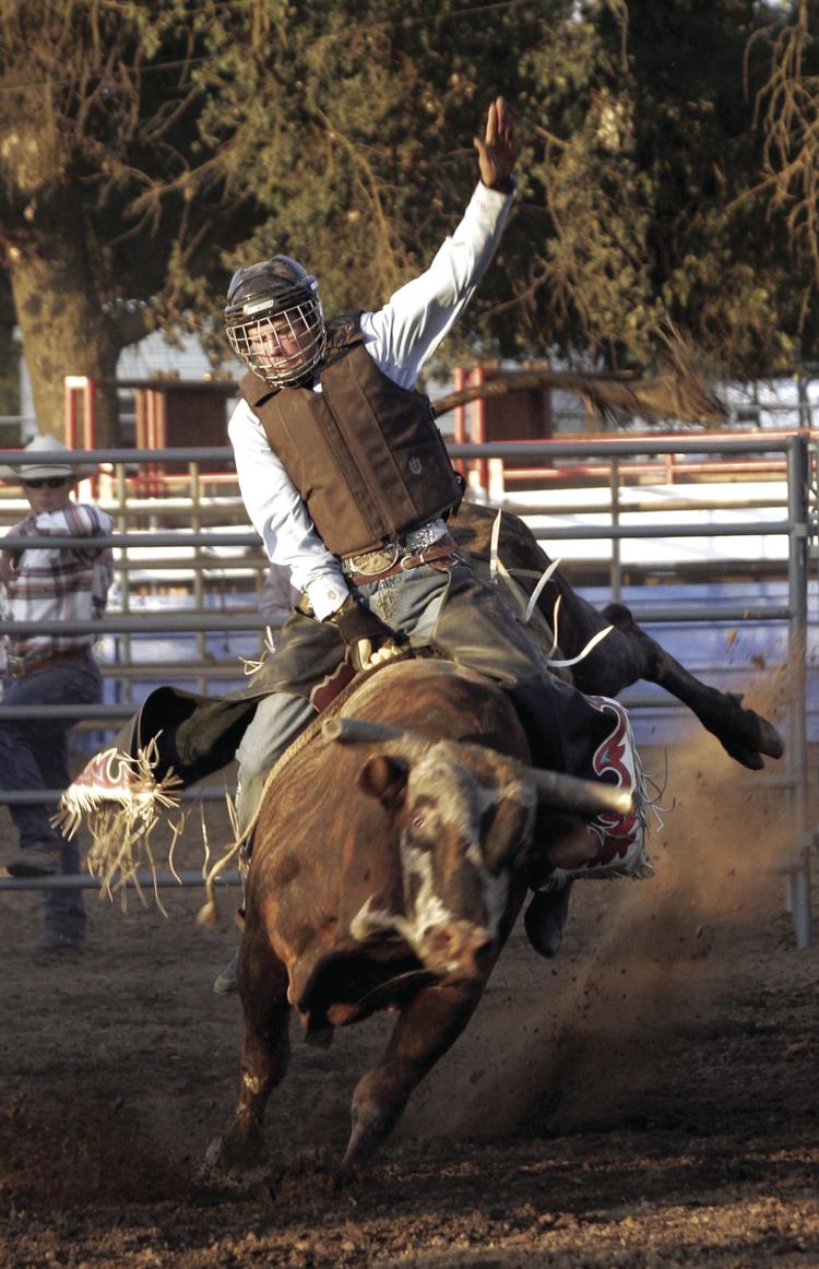 Clements Stampede galloping back after 9 years | News | lodinews.com