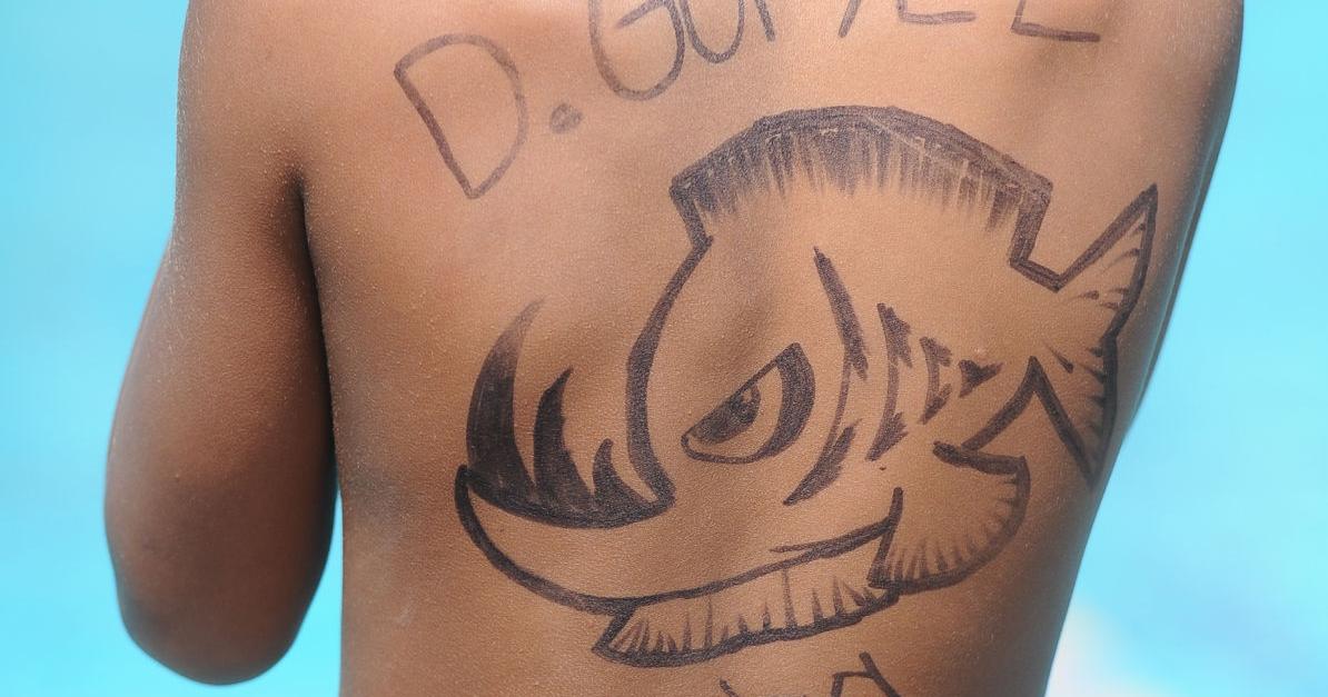 Lodi Swim Club displays athleticism and Sharpie art | News | lodinews.com