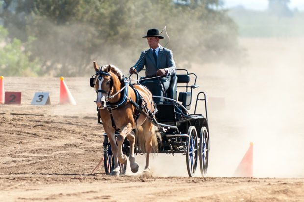 Skilled drivers show talents at Golden State Combined Driving event ...