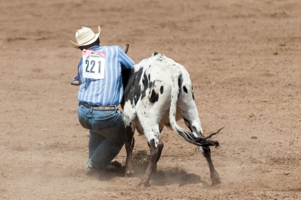 Young cowboys, cowgirls work hard at Clements Junior Stampede | News ...