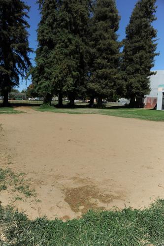 City of Lodi seeks grant for Blakely Park improvements | News ...