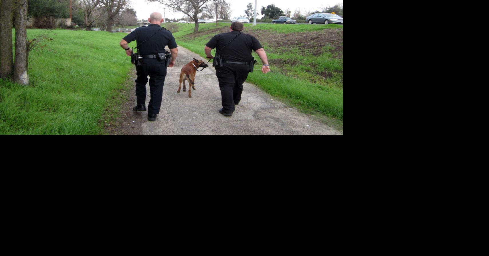 City of Lodi to fund anti-gang program through June | News | lodinews.com