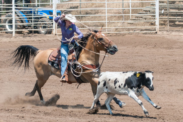 Young cowboys, cowgirls work hard at Clements Junior Stampede | News ...