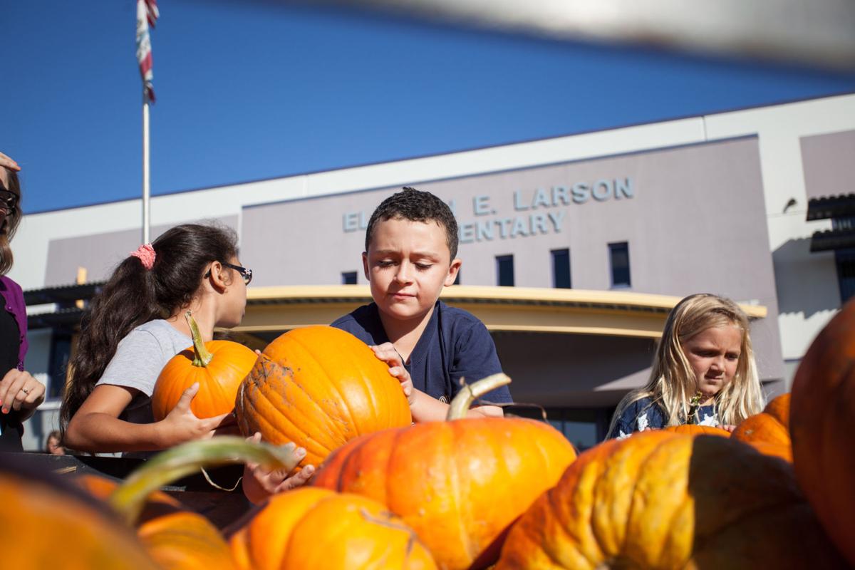Kids Surprised With Free Pumpkins at School | News | lodinews.com