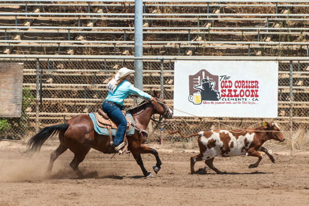 Young cowboys, cowgirls work hard at Clements Junior Stampede | News ...