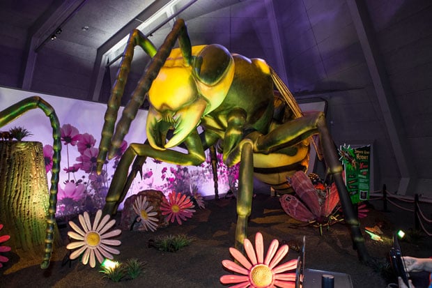 Discover the world of bugs at Xtreme BUGS exhibit | Columnists ...