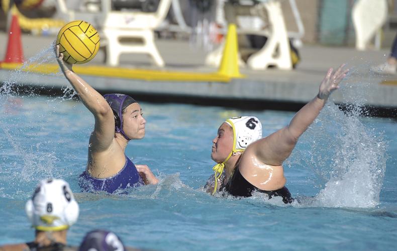 Water polo playoffs: Tokay heads to title game | Sports | lodinews.com