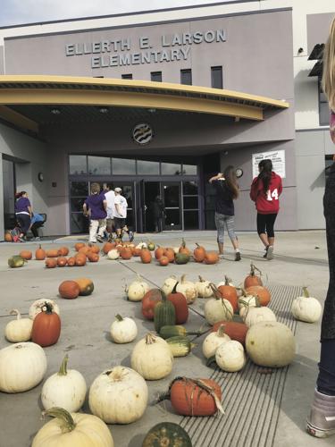 Lodi vineyards donate pumpkins to local school | News | lodinews.com