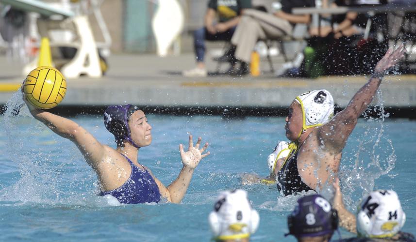 Water polo playoffs: Tokay heads to title game | Sports | lodinews.com