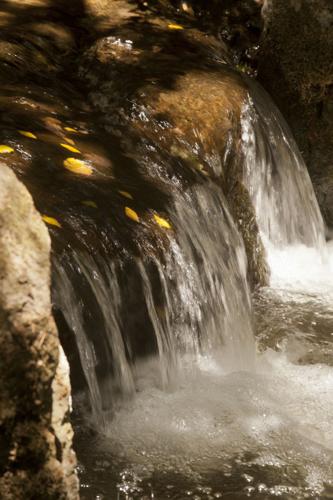 Micke Grove Regional Park: A special place of discovery | Life ...