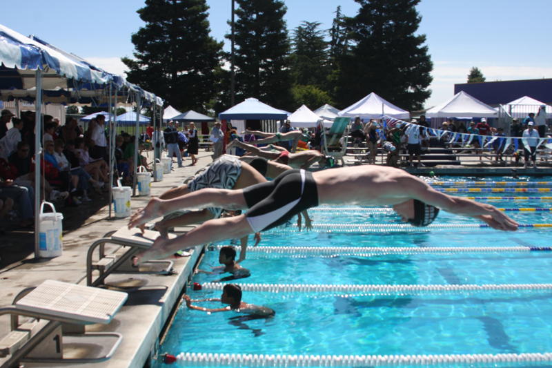 Lodi Swim Club hosts Mel Enze Memorial meet | Sports | lodinews.com