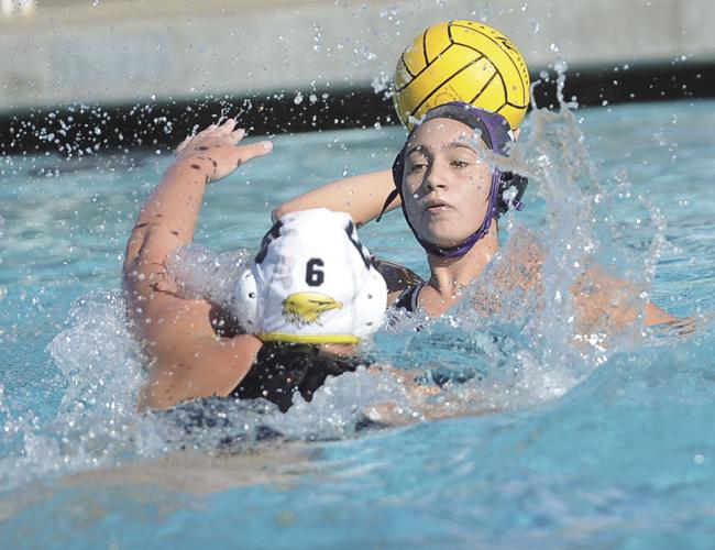Water polo playoffs: Tokay heads to title game | Sports | lodinews.com