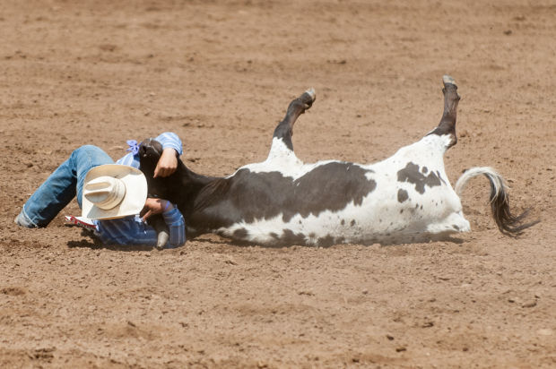Young cowboys, cowgirls work hard at Clements Junior Stampede | News ...