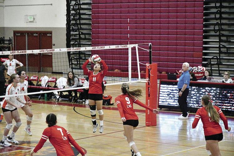 Mayer, Flames spike Bears in volleyball playoff opener | Sports ...