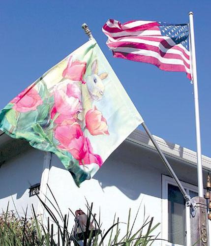 March winds | News | lodinews.com