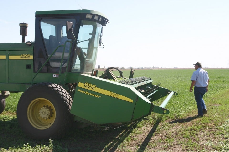 Alfalfa harvest helps feed local dairy | Business | lodinews.com
