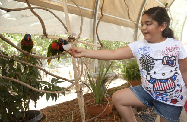 Micke Grove Regional Park: A special place of discovery | Life ...