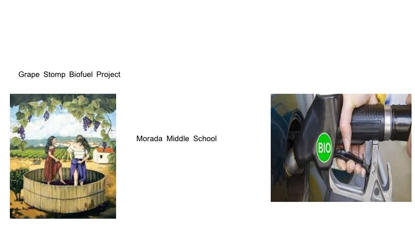 Morada Middle School Grape Stomp Bio fuel Project | News | lodinews.com
