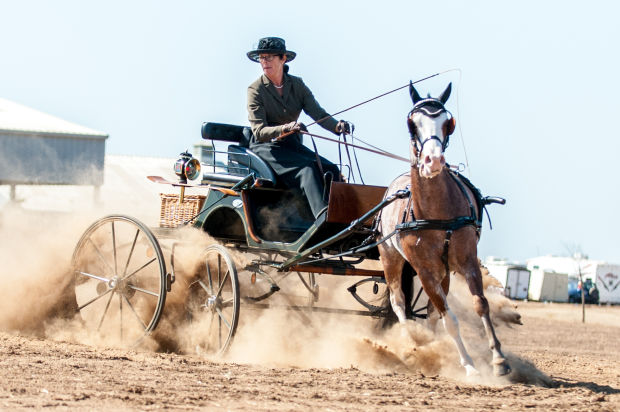 Skilled drivers show talents at Golden State Combined Driving event ...