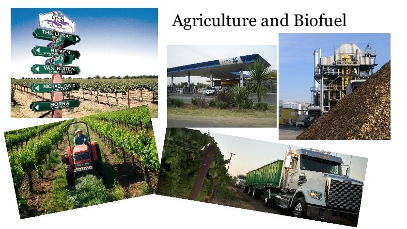 Morada Middle School Grape Stomp Bio fuel Project | News | lodinews.com