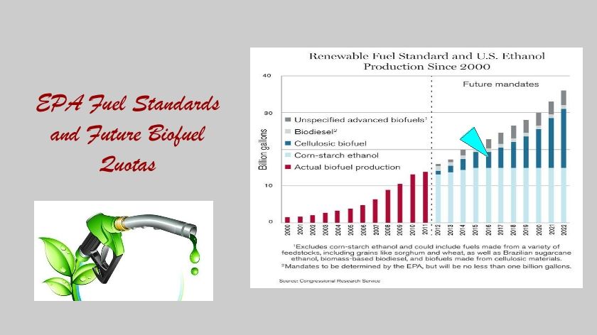 Morada Middle School Grape Stomp Bio fuel Project | News | lodinews.com
