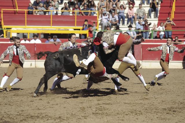 Portuguese culture takes center stage this week in Thornton | News ...